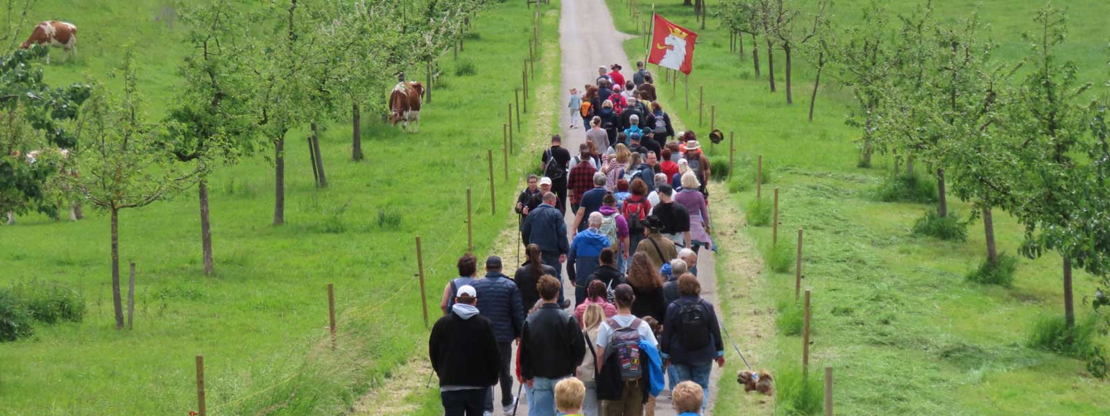 Das Internetportal für die Gemeinde Augst